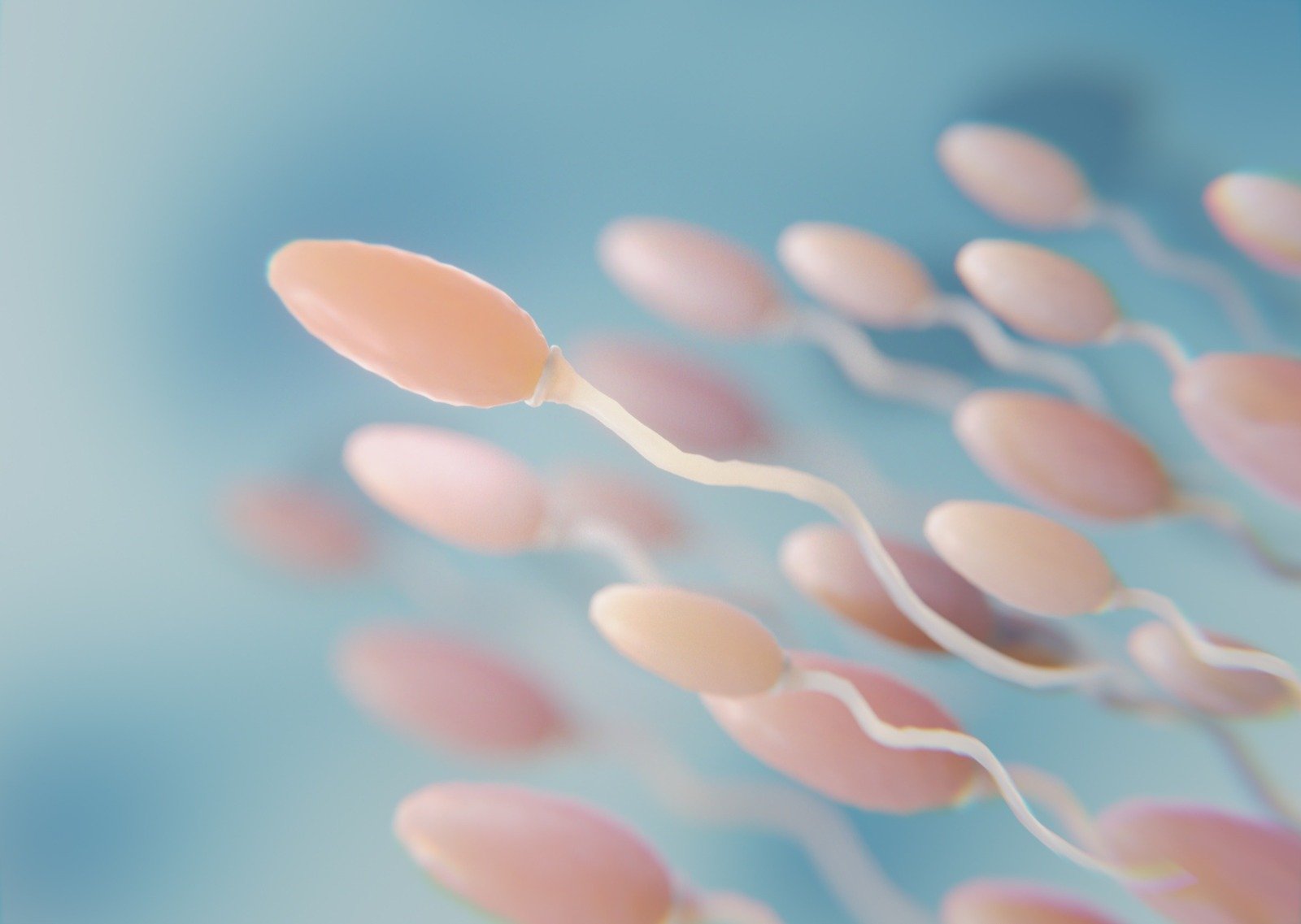 Surgical Sperm Retrieval Methods: TESA, TESE, Micro-TESE - NJINSKY IVF ...